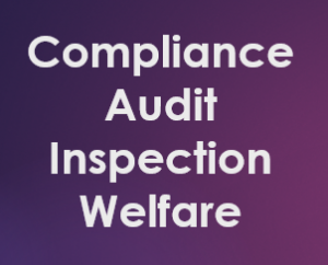 Minor Non-conformance for Technical Audit